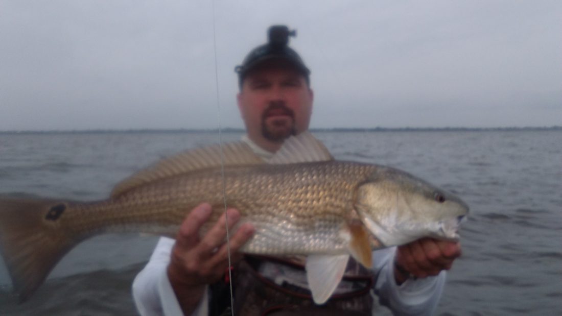 Red fish - Coastal Angler & The Angler Magazine