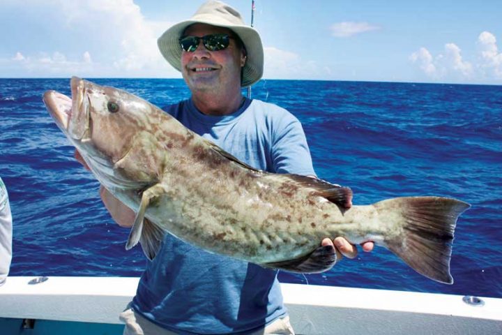 Native Baits For Big Grouper - Coastal Angler & The Angler Magazine