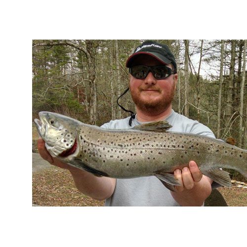 Apalachia: A Unique Trophy Trout Destination - Coastal Angler & The ...