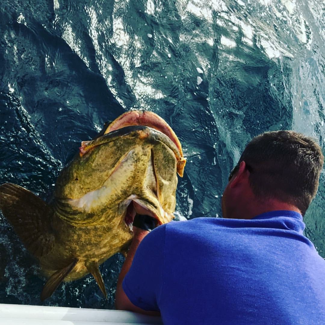 Nick's Jewfish | Coastal Angler & The Angler Magazine