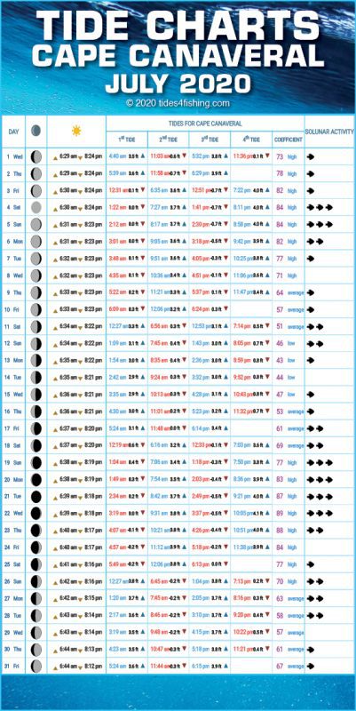 Coastal Angler Magazine - Brevard Edition | Coastal Angler & The Angler ...