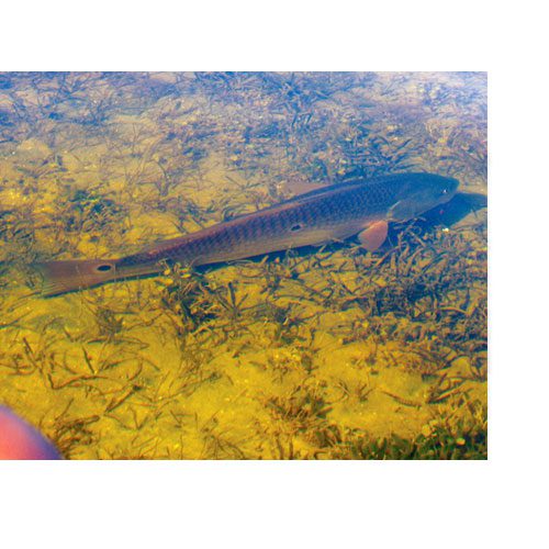 Tales from the Tupperware Navy | Coastal Angler & The Angler Magazine