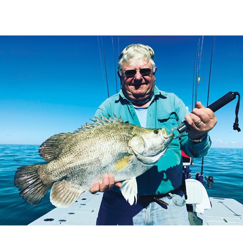 Crystal River February Fun - Coastal Angler & The Angler Magazine