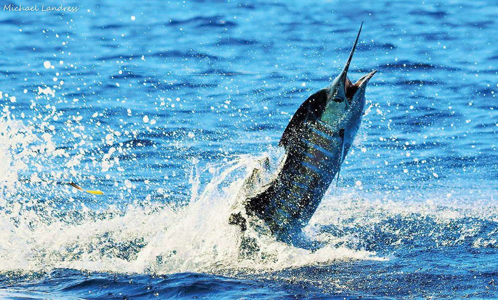 An Autumn Sail Story - Coastal Angler & The Angler Magazine