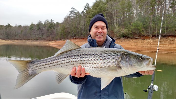 Lake Nottely - Coastal Angler & The Angler Magazine