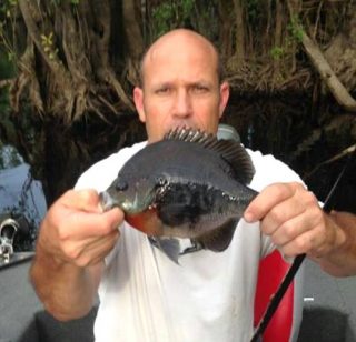 Hand-painted Bream - Coastal Angler & The Angler Magazine