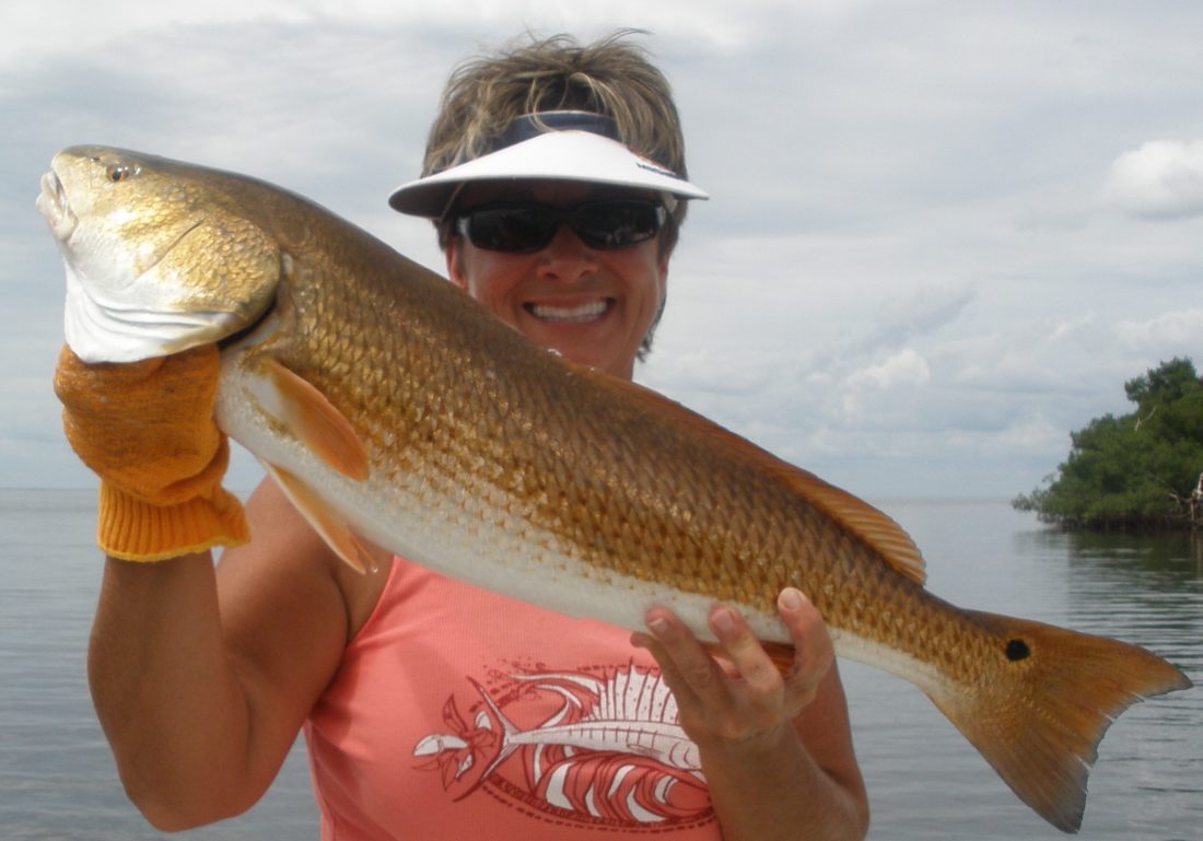 Spring Fever in Southwest Florida, by Vicki Fisher - Coastal Angler ...