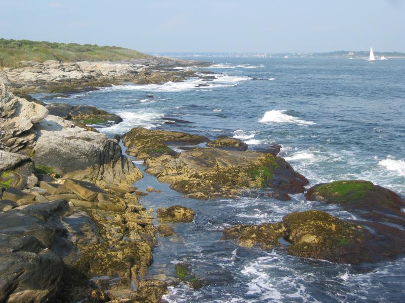 WESTERN SOUND FISHING REPORT: FEB. 2017 | Coastal Angler & The Angler ...