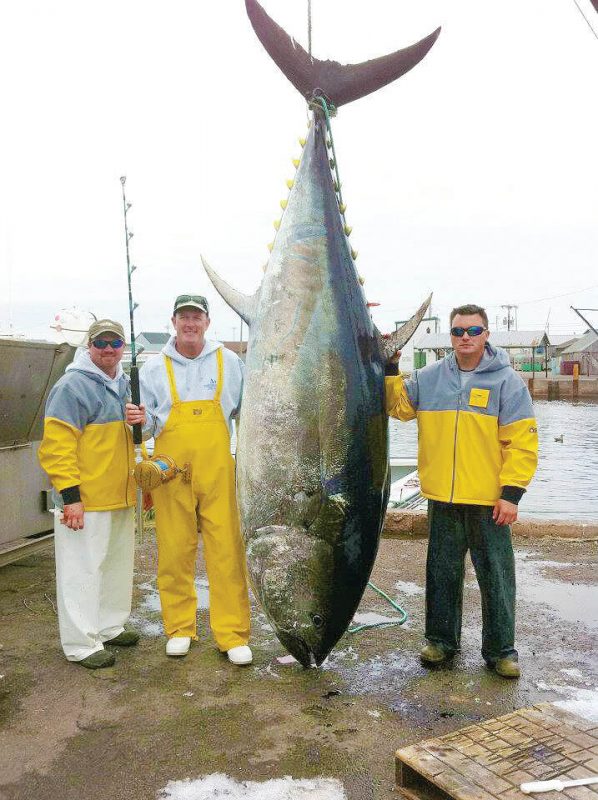 Prince Edward Island – Giant Bluefish Capital of the World - Coastal ...