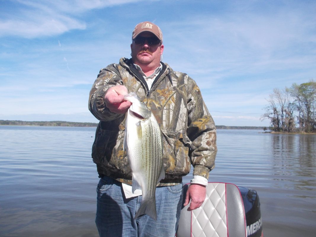 Nice Hybrid | Coastal Angler & The Angler Magazine