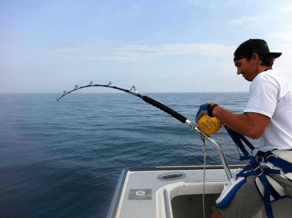 Prince Edward Island – Giant Bluefish Capital of the World - Coastal ...