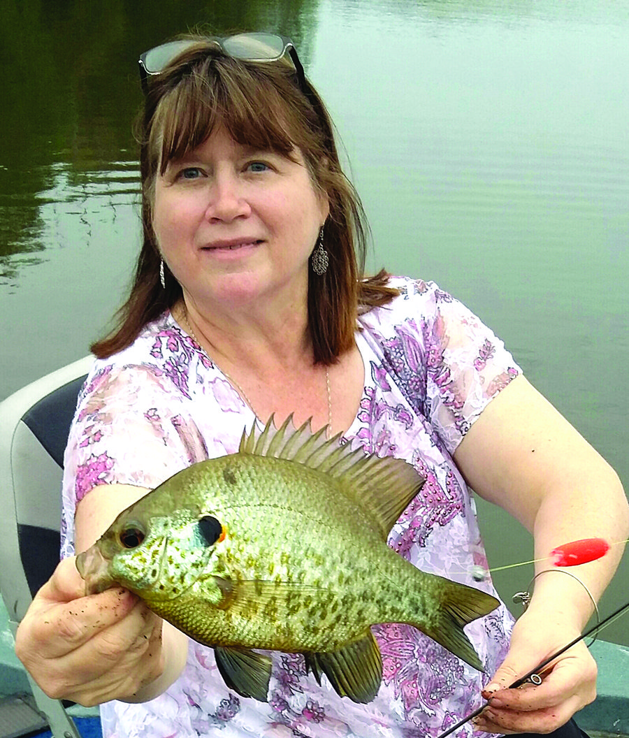Monica Faulk with a big shellcracker - Coastal Angler & The Angler Magazine