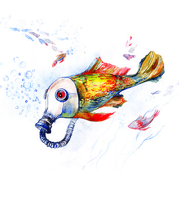 Keeping Calm in the “Year of the Leper” | Coastal Angler & The Angler ...