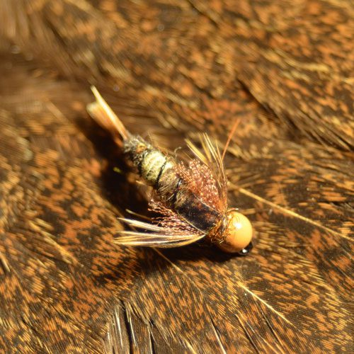 Upstate NY Angler Fly Fishing | Coastal Angler & The Angler Magazine