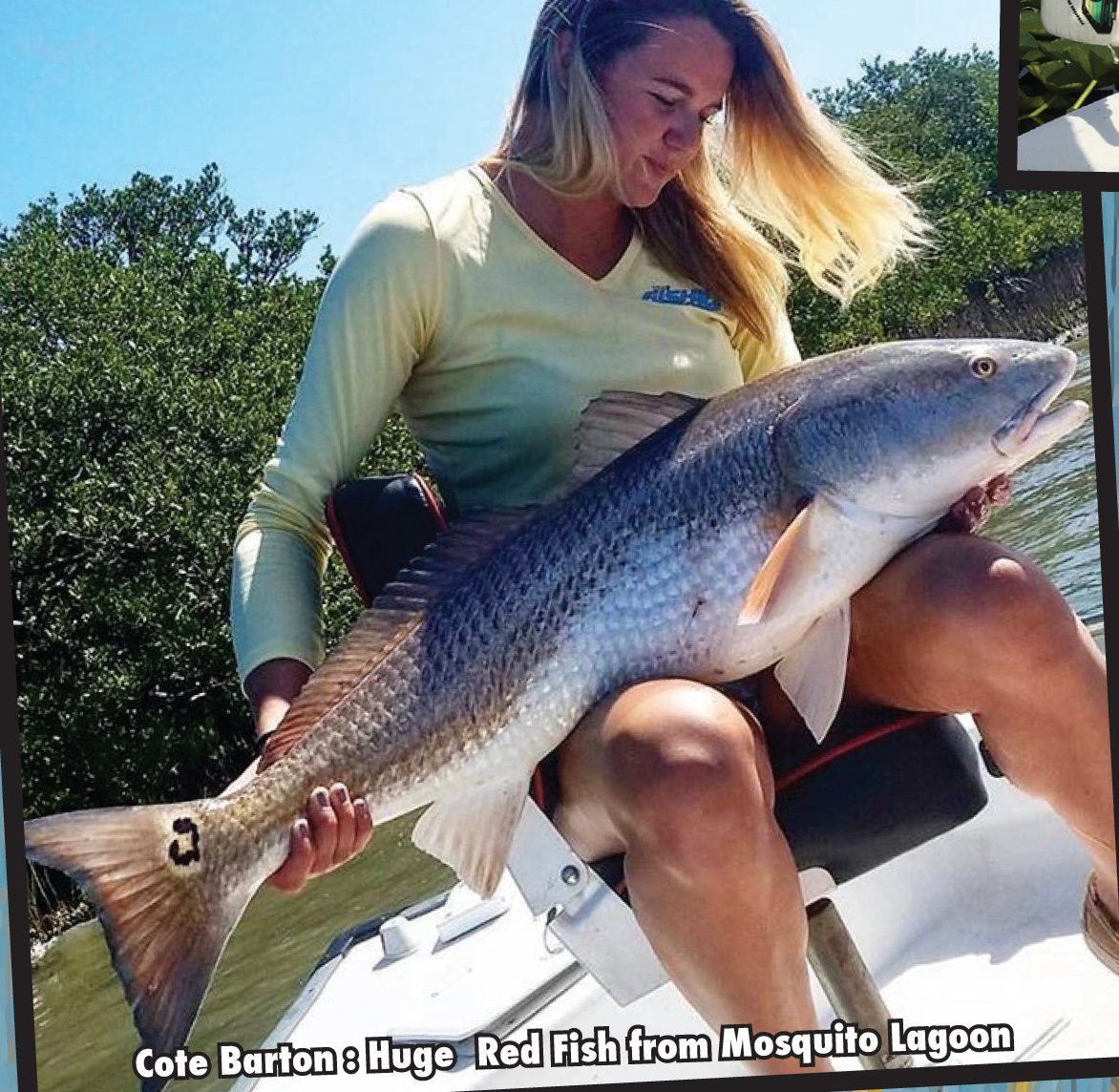 Cate Barton: Huge Redfish from Mosquito Lagoon - Coastal Angler & The ...
