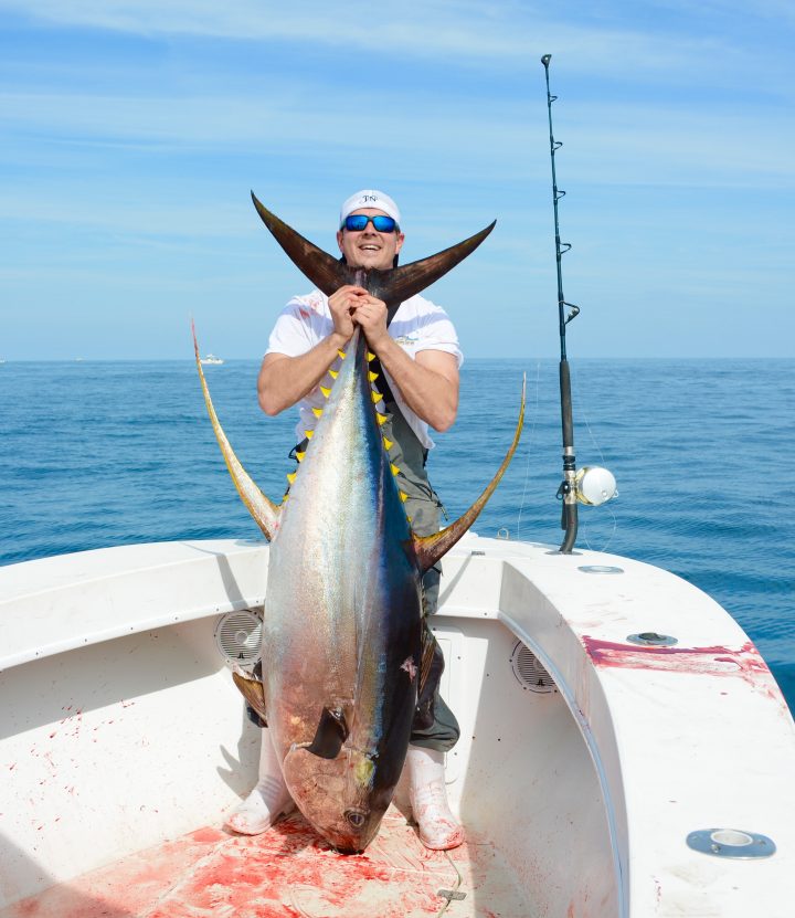 Big Yellowfin - Coastal Angler & The Angler Magazine