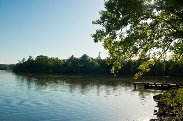 Lake Harding - Coastal Angler & The Angler Magazine