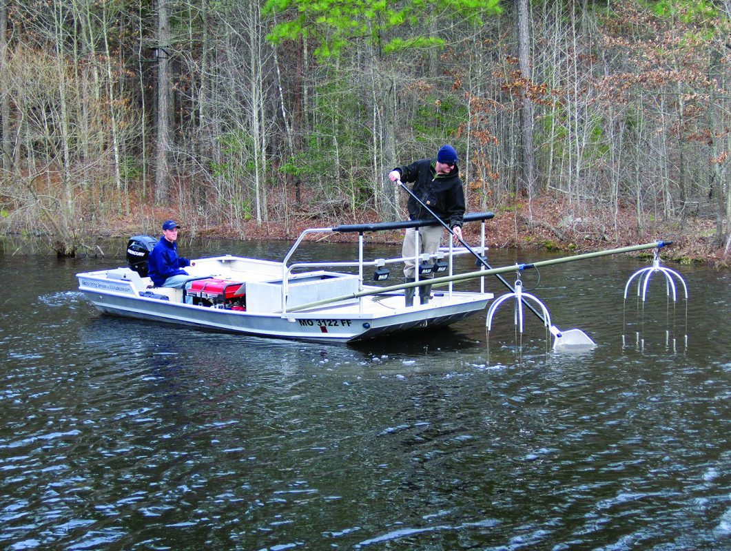 The Use of Electrofishing to Manage a Fishery - Coastal Angler & The ...