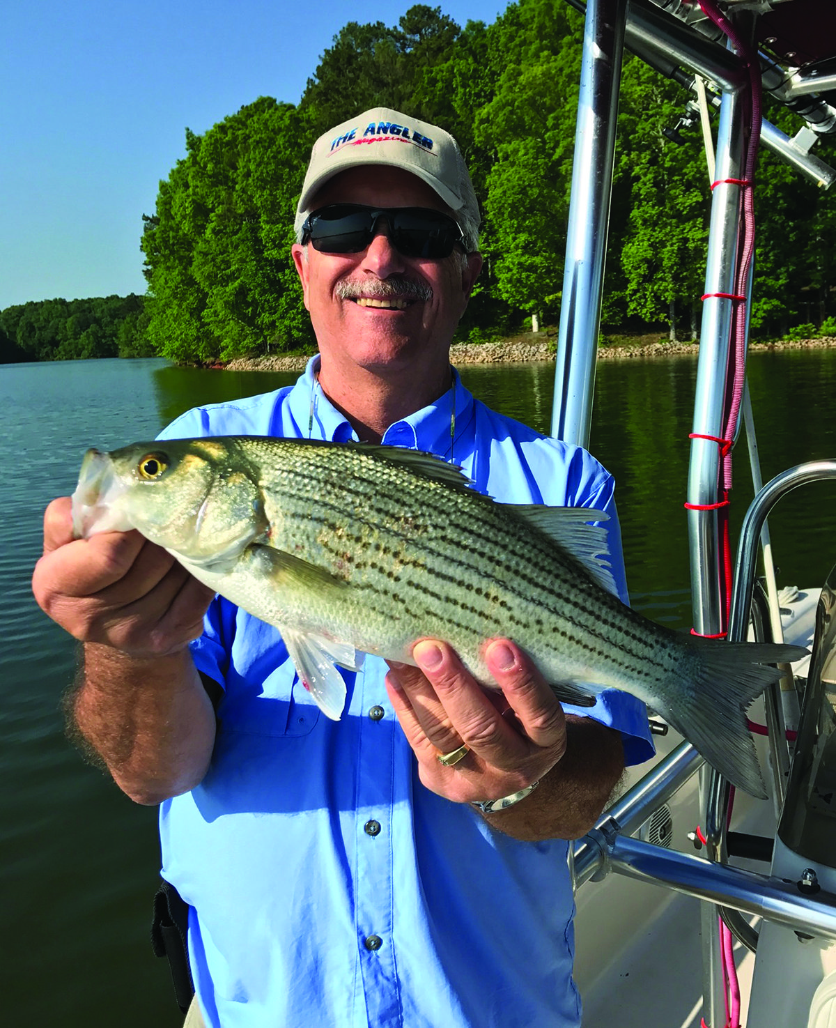 Bob Rice with a Lake Oconee hybrid - Coastal Angler & The Angler Magazine