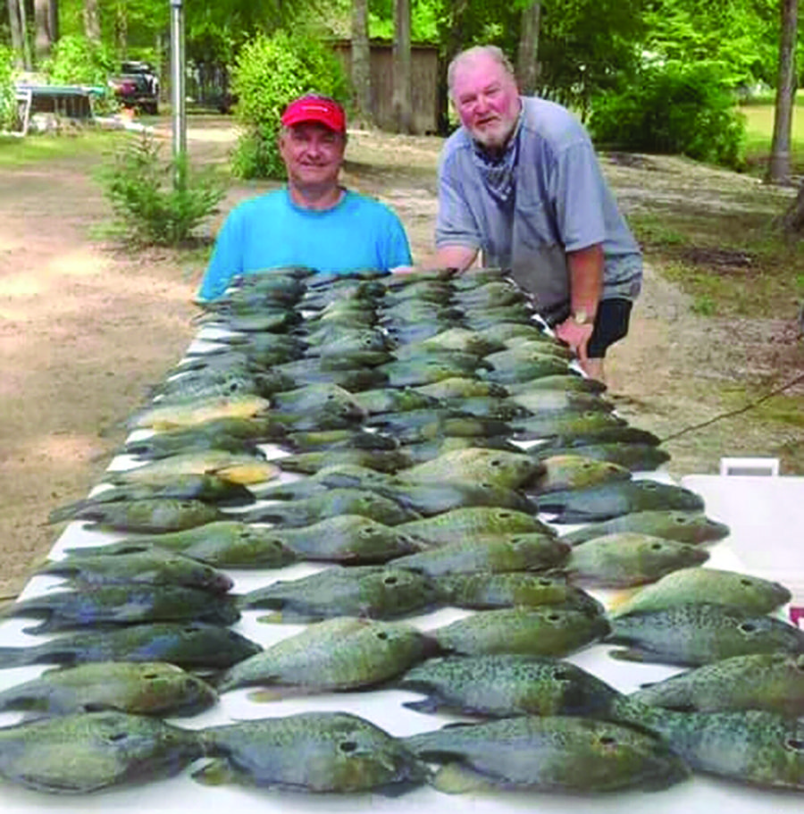 A Mess of Shellcrackers - Coastal Angler & The Angler Magazine