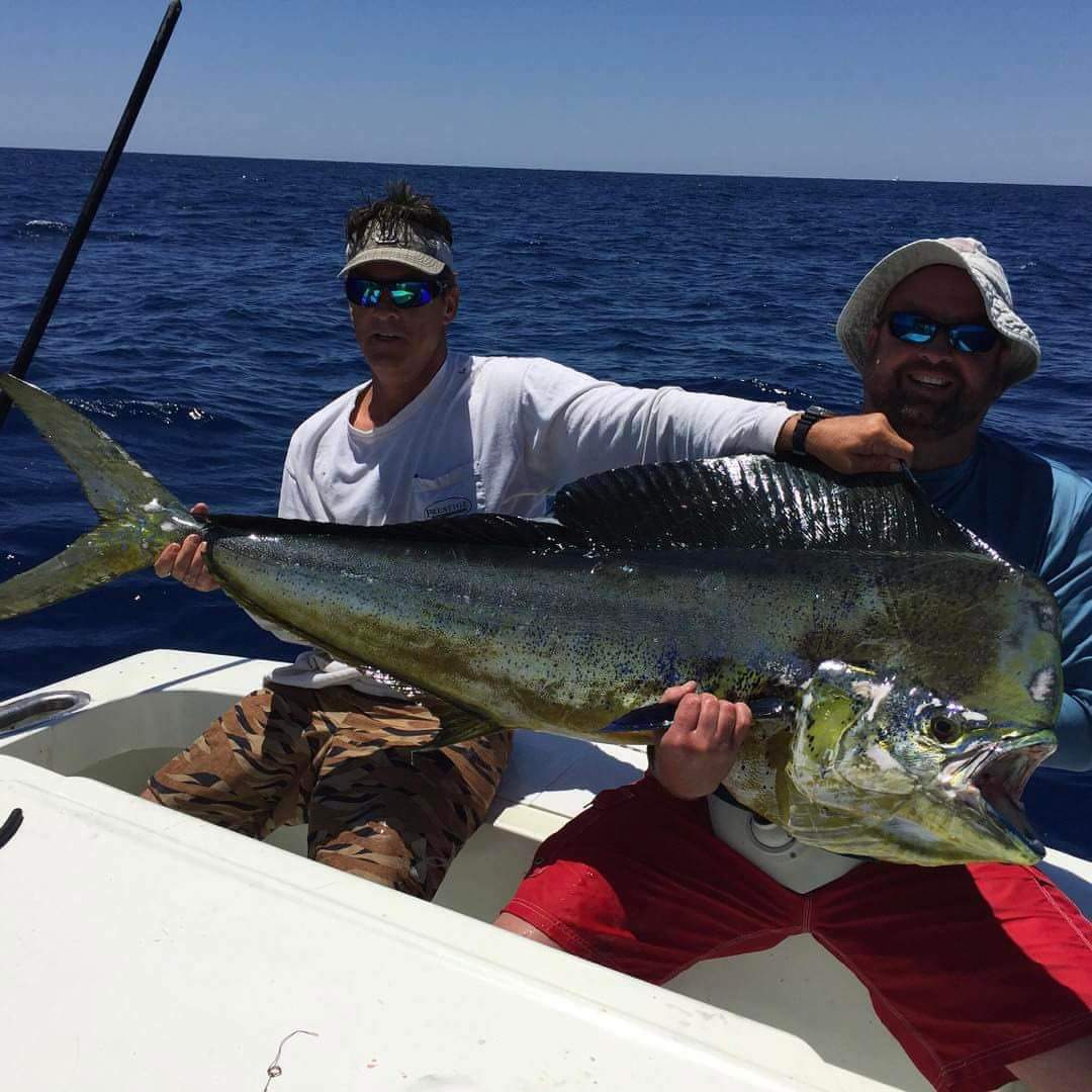 Massive May Dolphin - Coastal Angler & The Angler Magazine