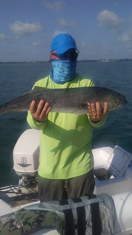 16 lb Bluefish at Sebastian caught by Rob Birmingham - Coastal Angler ...