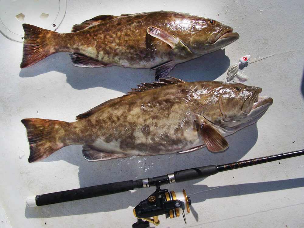 Mad Fish - Coastal Angler & The Angler Magazine