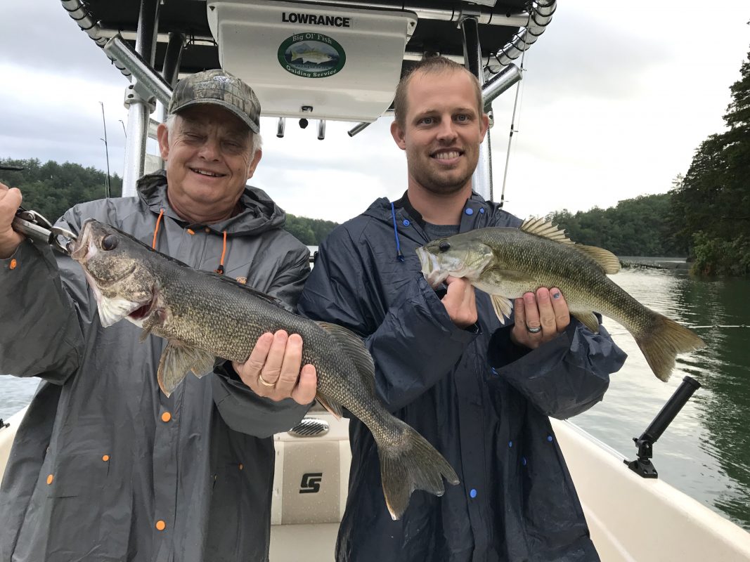 Lake Blue Ridge Spots and Smallmouth - Coastal Angler & The Angler Magazine