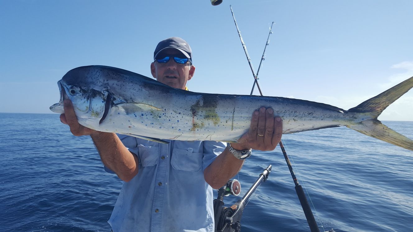 Deep water dolphin - Coastal Angler & The Angler Magazine