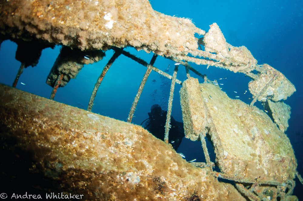 Flagler Bridge Rubble: Palm Beach’s Newest Reef Habitat - Coastal ...