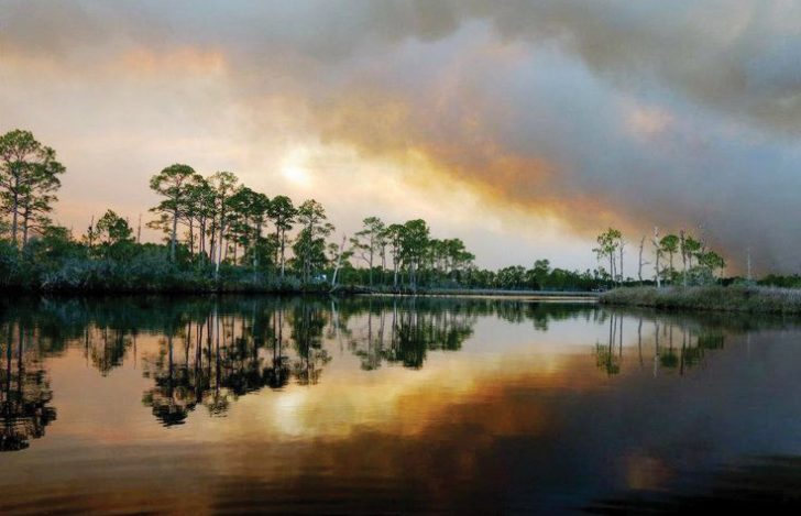Living Life on Florida’s Forgotten Coast - Coastal Angler & The Angler ...