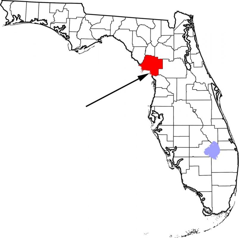Florida Waterways: Waccasassa River - Coastal Angler & The Angler Magazine Florida Waterways: Waccasassa River - Coastal Angler & The Angler Magazine
