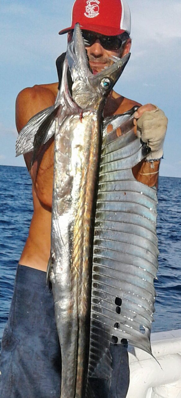 Rare Lancet Fish! - Coastal Angler & The Angler Magazine