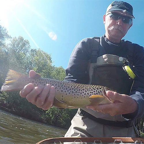 Delayed Harvest Tips - Coastal Angler & The Angler Magazine