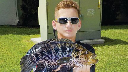 Florida Certifies Record Jaguar Guapote - Coastal Angler & The Angler ...