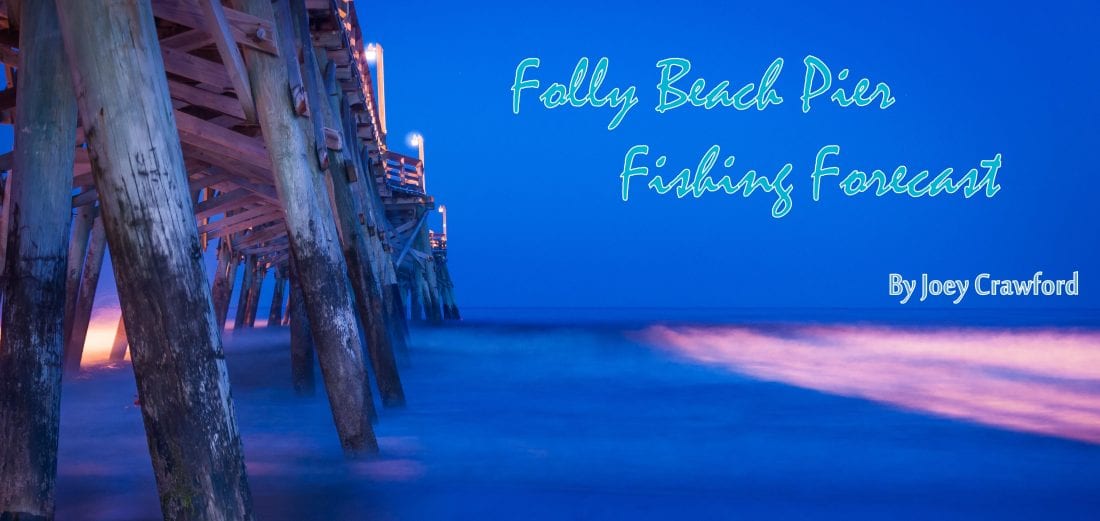 Folly Beach Pier October Fishing Forecast - Coastal Angler & The Angler ...