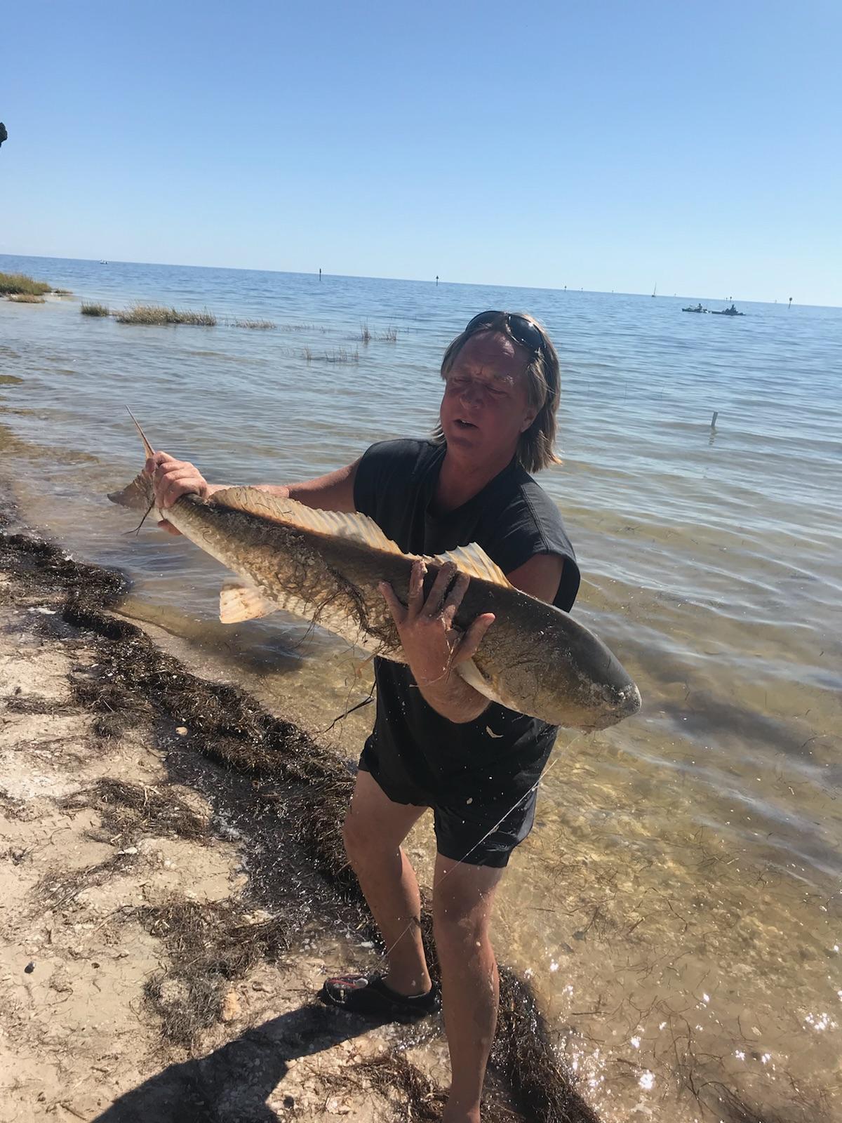 Shell Point Redfish - Coastal Angler & The Angler Magazine Shell Point Redfish - Coastal Angler & The Angler Magazine