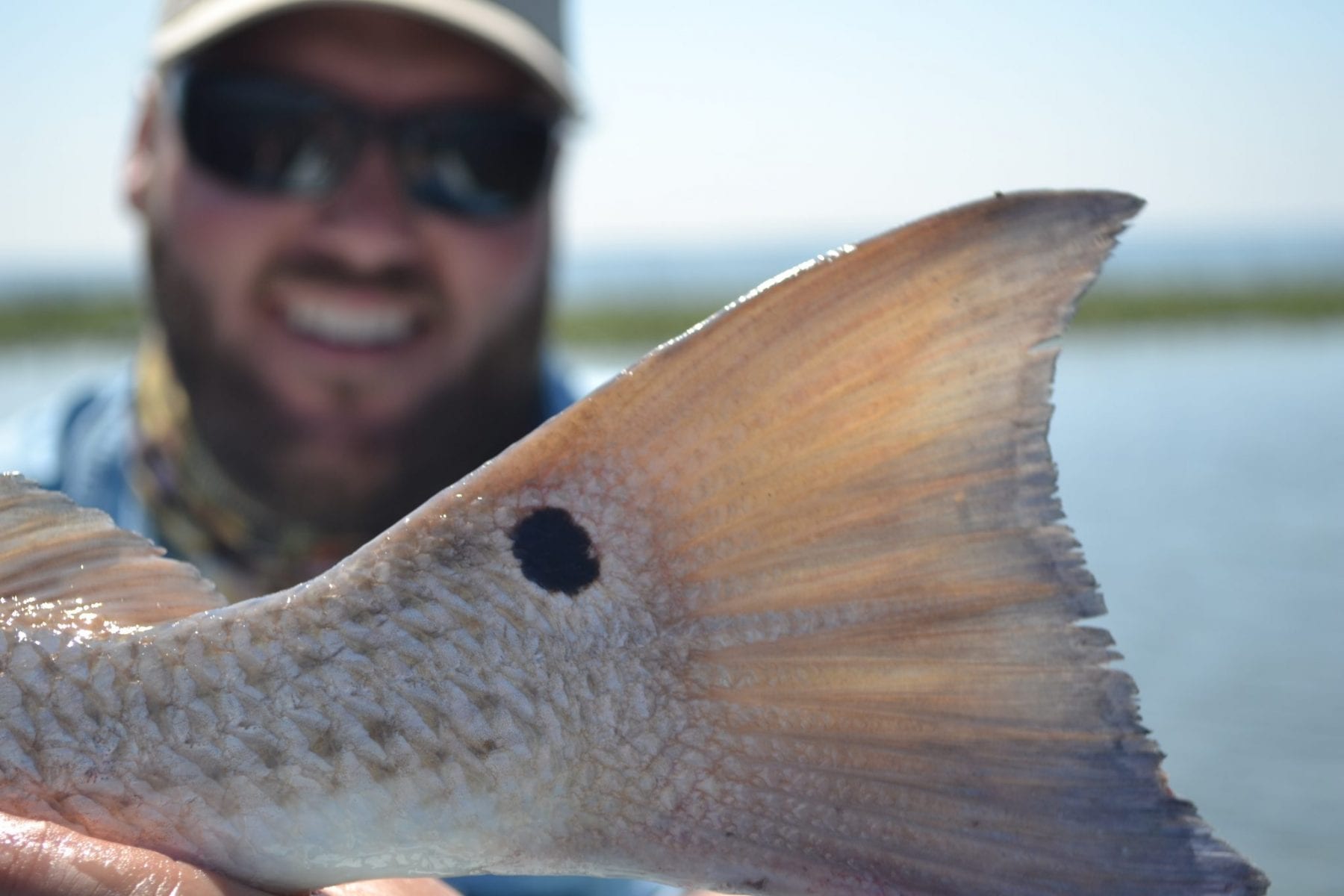 The Fall of the Redfish - Coastal Angler & The Angler Magazine