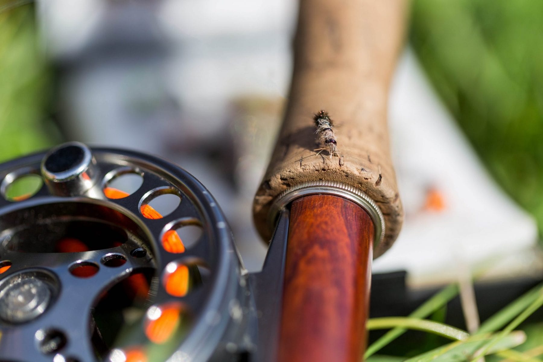 Pond Hopping for Big Fun - Coastal Angler & The Angler Magazine