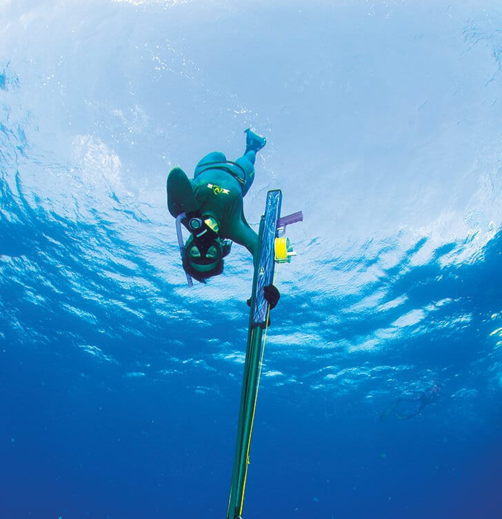 Under the Sea – Speargun Basics - Coastal Angler & The Angler Magazine