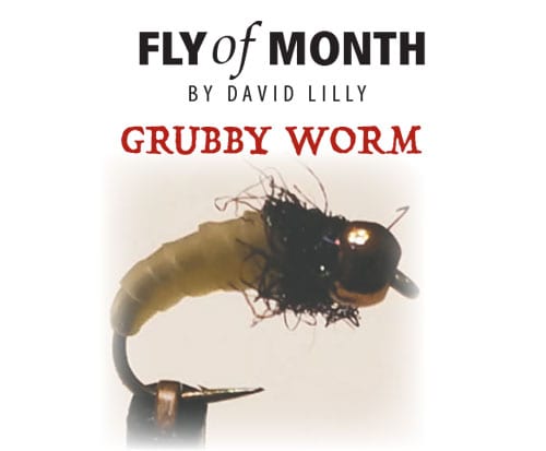 Fly of the Month – Grubby Worm - Coastal Angler & The Angler Magazine
