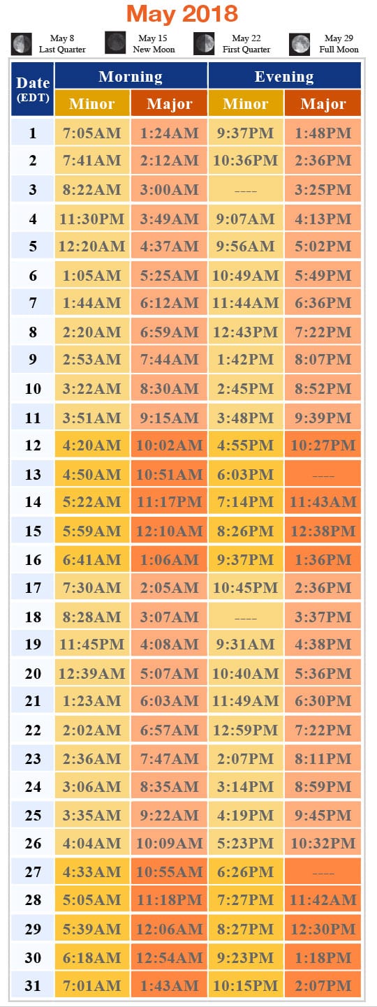 Primary Feeding Times May 2018 | Coastal Angler & The Angler Magazine