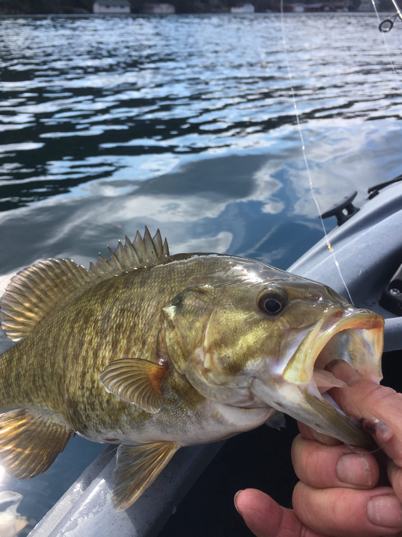 spring kayak fishing on lake george - Coastal Angler & The Angler Magazine
