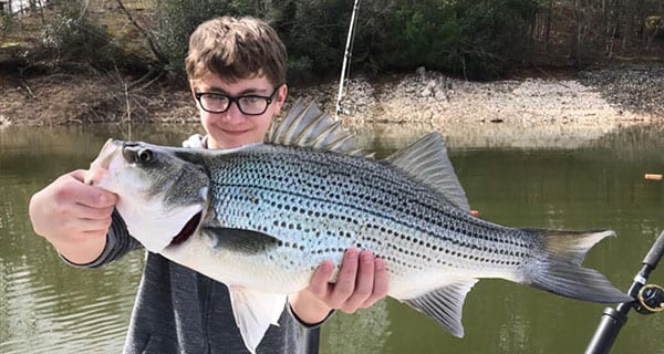 Lake Hiwassee Stripers – The Hardest Fighting Fish in Western NC ...