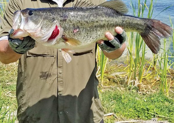 Miami Edition - Fishing Reports, Boating & Outdoors | Coastal Angler ...