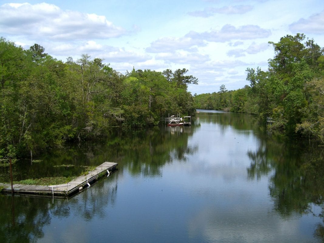 Florida Waterways: “St. Marks River” - Coastal Angler & The Angler Magazine