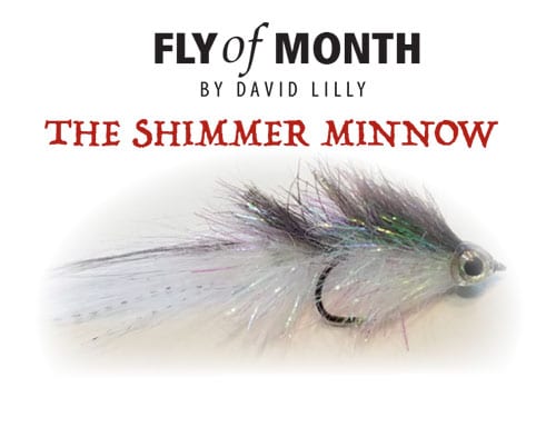 Fly of the Month – The Shimmer Minnow - Coastal Angler & The Angler ...