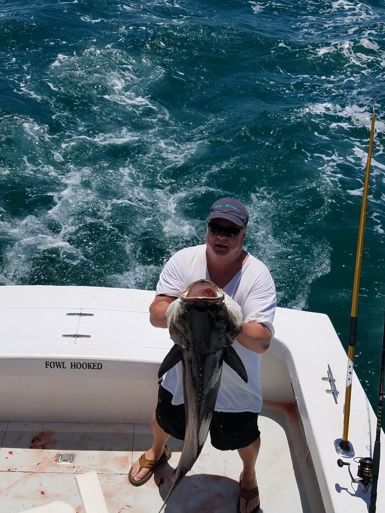 Bucket list Cobia day in Manteo NC - Coastal Angler & The Angler Magazine