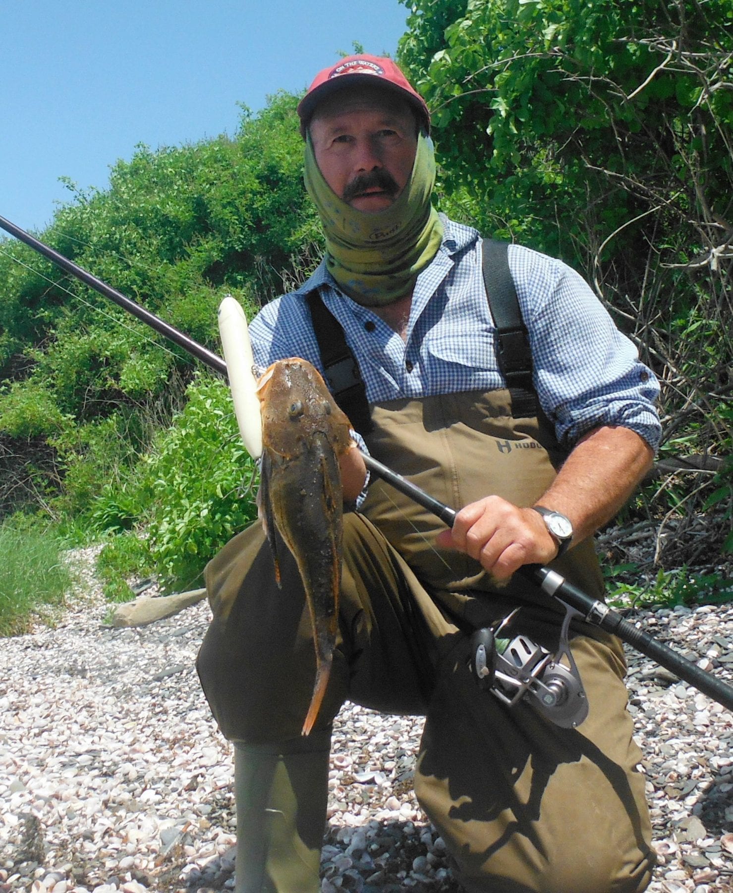 Sea Robin on Large Lure - Coastal Angler & The Angler Magazine