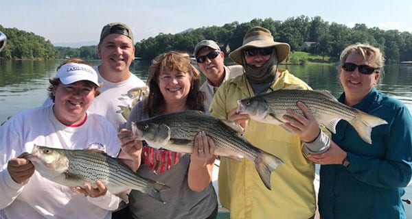 Lake Chatuge July Hybrids - Coastal Angler & The Angler Magazine